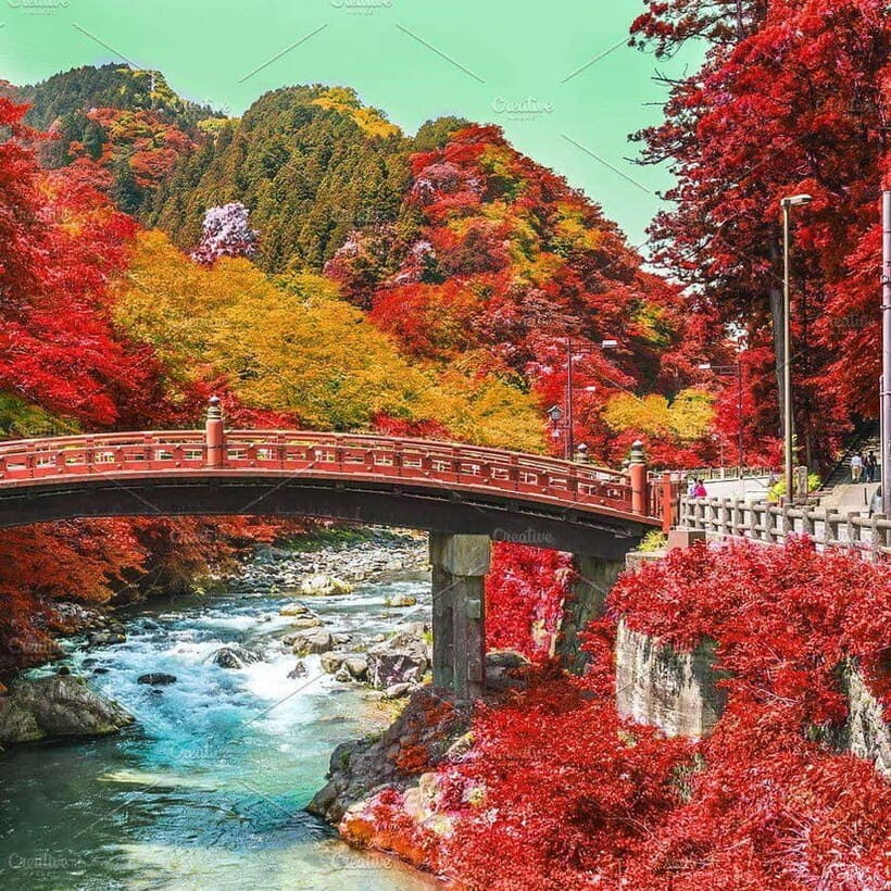 Nikko Day Tour from Tokyo with English Speaking Driver - What Travelers Say and Why It Matters