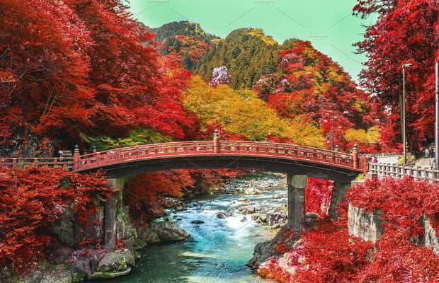 Nikko Day Tour from Tokyo with English Speaking Driver - The Practicalities: Transport, Timing, and Customization