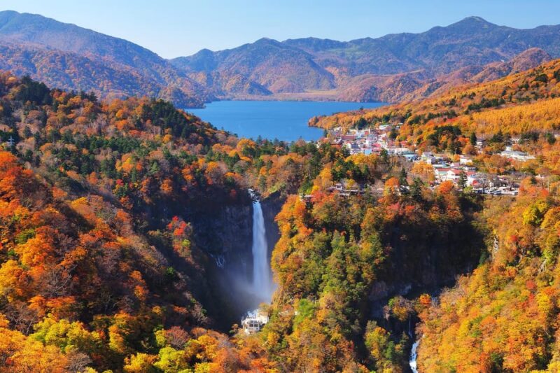Nikko Day Tour From Tokyo With English Speaking Driver - Key Points