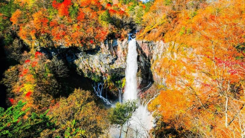 Nikko Day Tour From Tokyo With English Speaking Driver - Pickup and Transportation