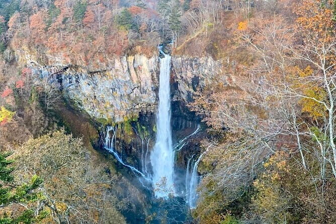 Nikko Full Day Customize Private tour - Transportation and Practical Details