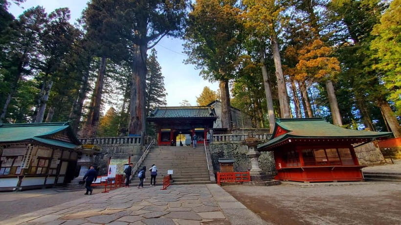 Nikko Full-Day Private Tour from Tokyo (Customizable) - A Closer Look at What You Can Expect
