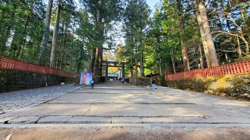 Nikko Full-Day Private Tour from Tokyo (Customizable) - What Makes This Tour Stand Out