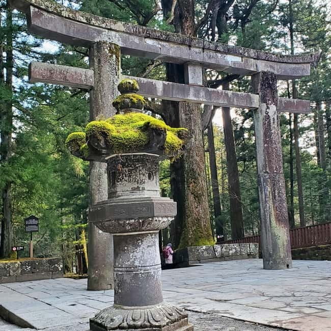 Nikko Full-Day Private Tour from Tokyo (Customizable) - Who Will Love This Tour?