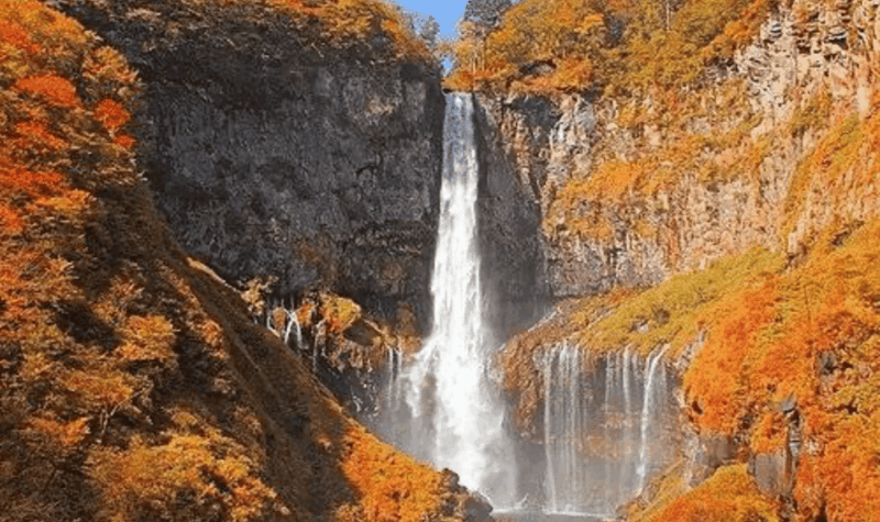 Nikko Full Day Private Tour With English Speaking Driver - Pickup and Accessibility