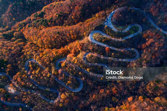 Nikko Full Day Private Tour With English Speaking Driver - Highlights of the Nikko Tour