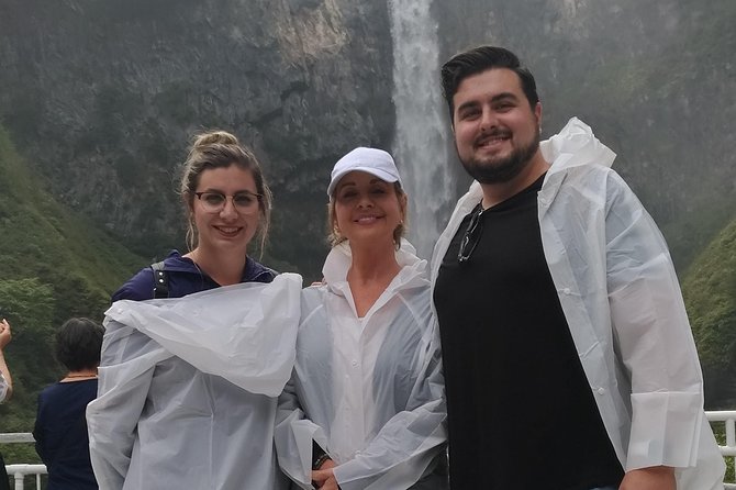 Nikko Full-Day Private Walking Tour With Government-Licensed Guide (Tokyo DEP.) - Key Points