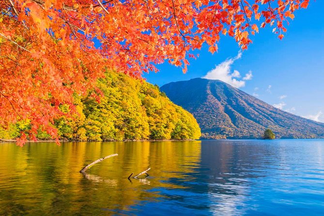 Nikko Full-Day Private Walking Tour With Government-Licensed Guide (Tokyo DEP.) - Positive Feedback on the Beauty of Nikko