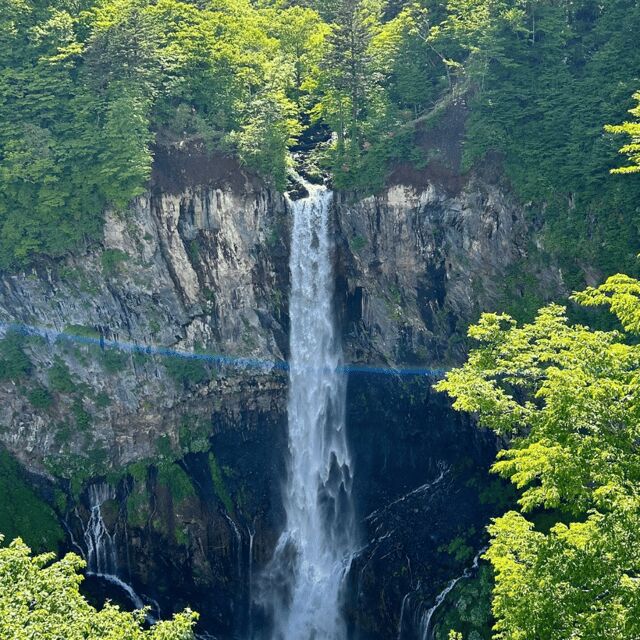 Nikko Heritage & Nature Day Trip from Tokyo - A Deep Dive into the Nikko Experience