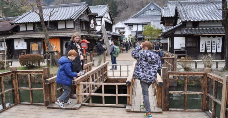 Nikko in Style: Luxury Mercedes Tour With English Guide - Key Points