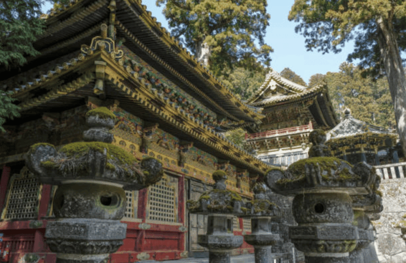 Nikko Private Custom Tour With Local Guide - Traveler Feedback and Ratings