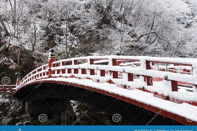 Nikko Private Day Tour by Car with Pick up from Tokyo - Who Is This Tour Best For?