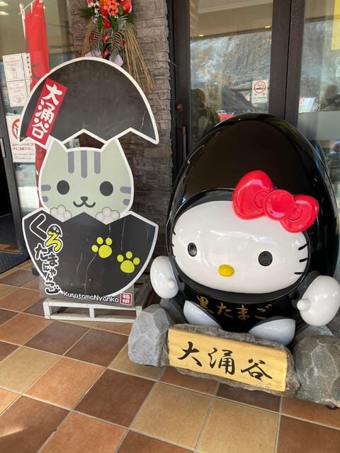 Nikko Private Day Tour with English Speaking Expert Driver - Key Points