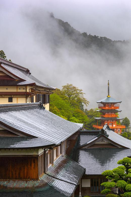 Nikko Private Day Trip With English Driver-Guide From Tokyo - Shinkyo Bridge
