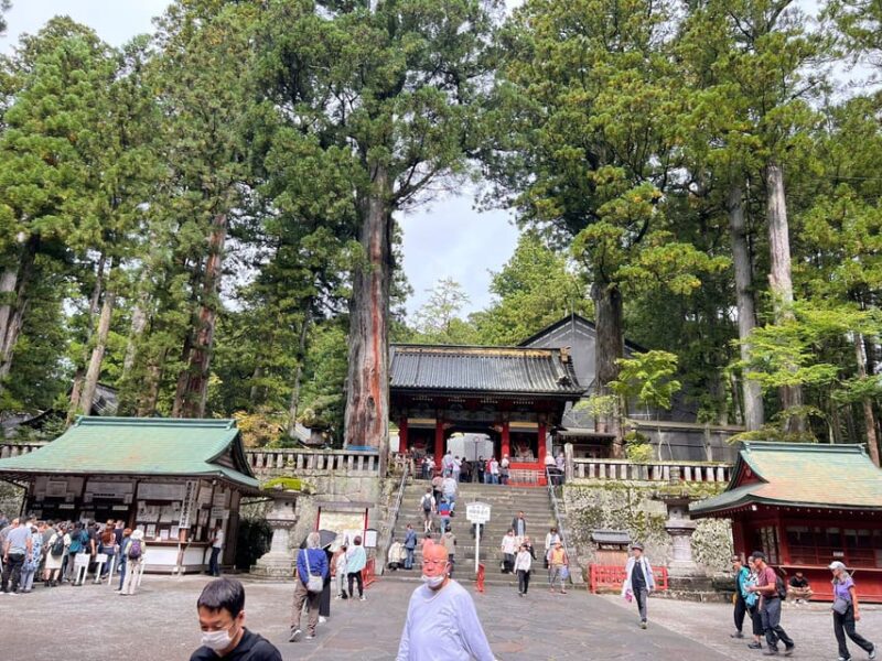 Nikko Private Day Trip With English Driver-Guide - Nikko National Park Tour