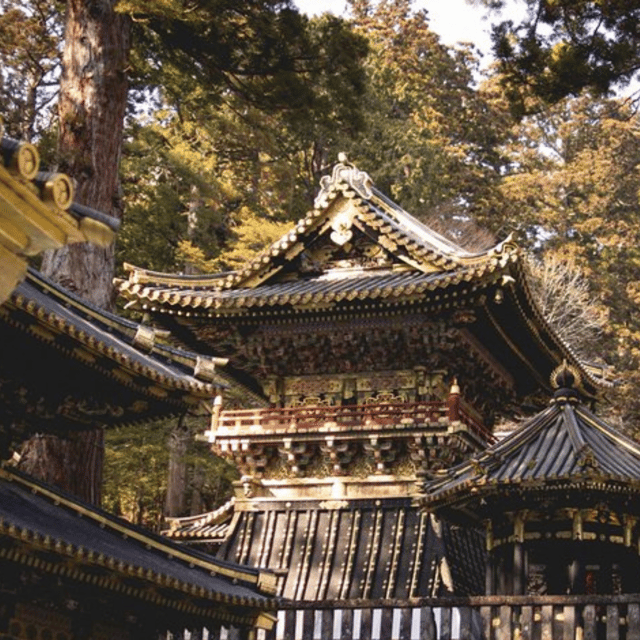 Nikko Private Day Trip With Hotel Pickup/Drop off - Customer Reviews and Experiences
