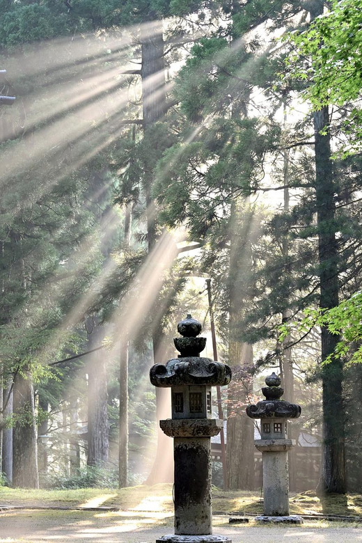 Nikko Private Day Trip With Hotel Pickup/Drop off - Exploring the UNESCO World Heritage Site: Toshogu Shrine
