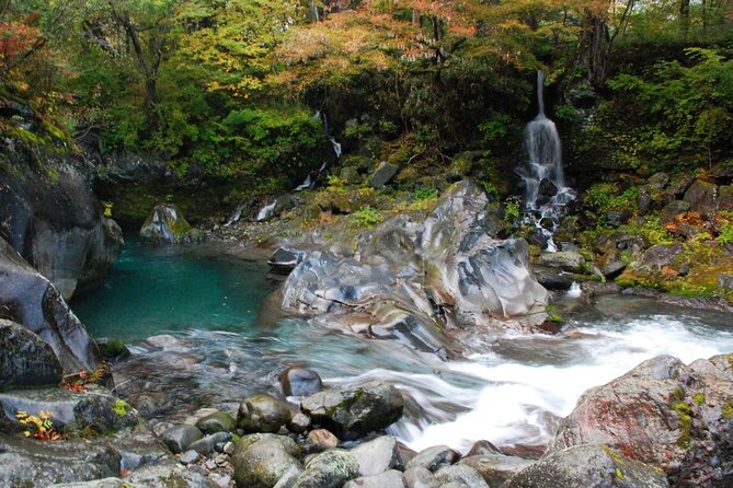 Nikko Private SightSeeing Day Tour (From Tokyo) - Accessibility and Participation
