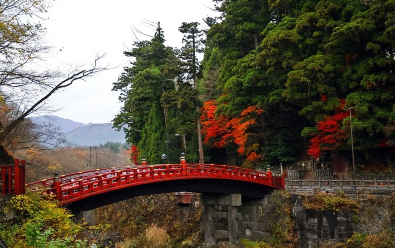 Nikko: Private Sightseeing Day Tour With Driver & Transport - Itinerary Highlights