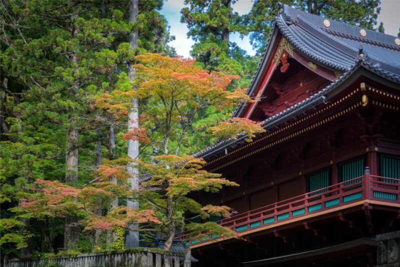 Nikko: Private Sightseeing Day Tour With Driver & Transport - Frequently Asked Questions