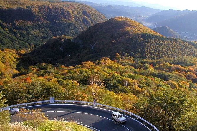 Nikko Private Tour With English Speaking Guide - Booking Information