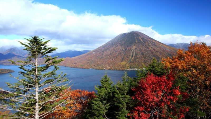 Nikko: Private Walking Tour With Local Guide - Frequently Asked Questions