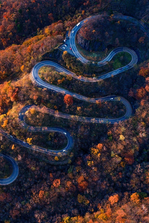 Nikko Sightseeing Tour (English/Japanese Speaking Guide) - Comfort and Accessibility