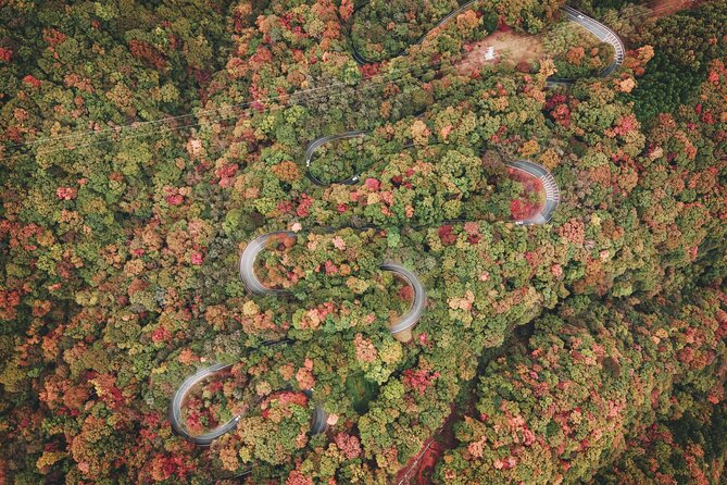 Nikko World Heritage 1 Day Tour - Exploring the Nikko Toshogu Shrine