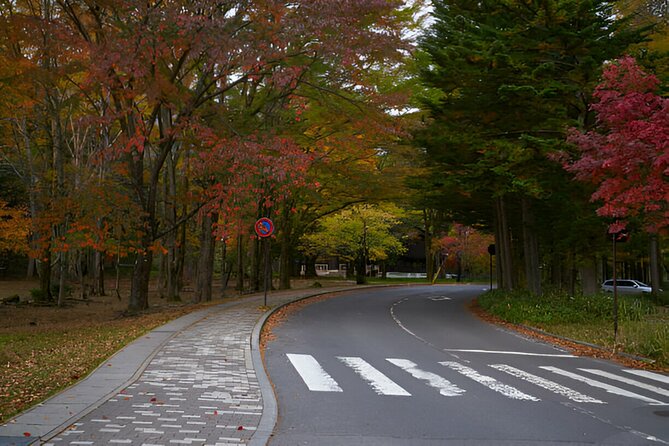Nikko World Heritage Full Day Trip - Feedback and Reviews