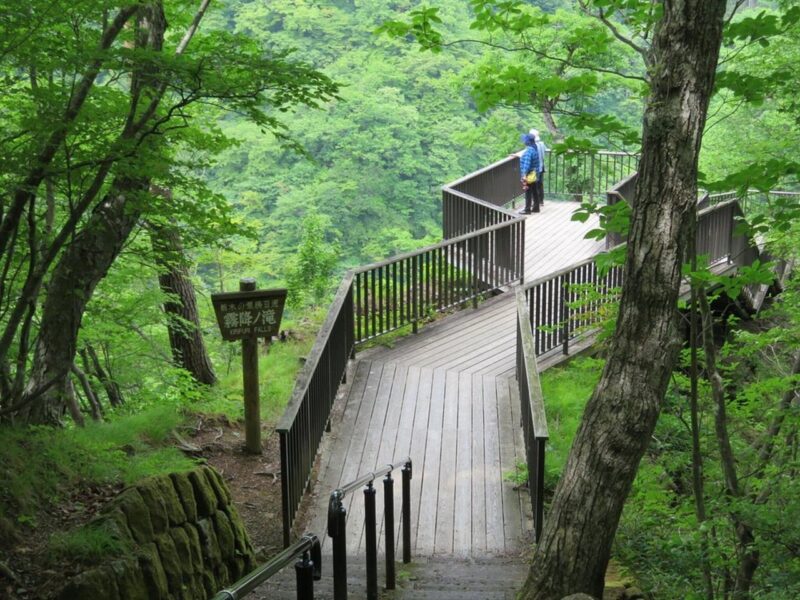 Nikkos Majestic Landscapes: Private Guided Tour - Exploring UNESCO Sites