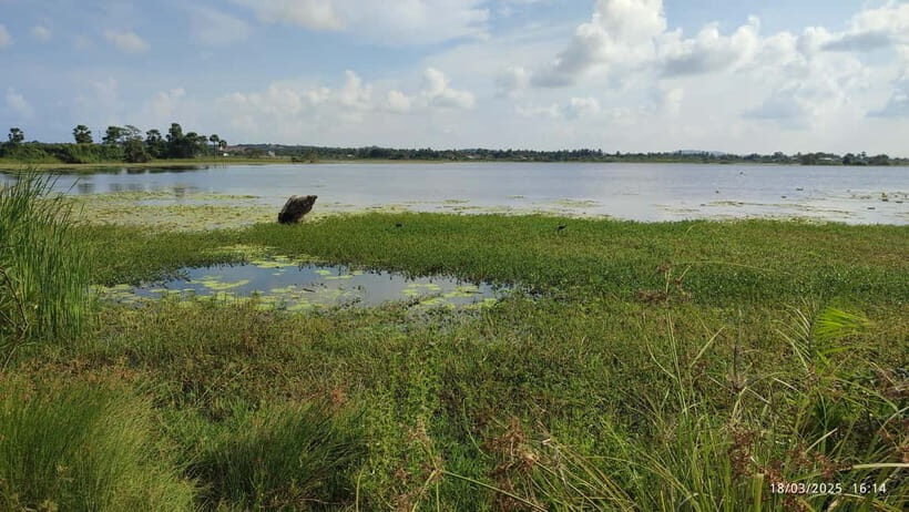 Nilaveli: Crocodile Lake with Lagoon Boat Safari - Key Points