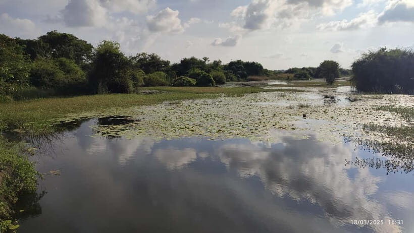 Nilaveli: Crocodile Lake with Lagoon Boat Safari - What to Expect During Your Crocodile Lake Safari