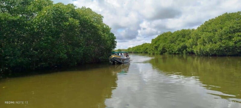 Nilaveli: Lagoon Boat Safari with Mangrove Exploration - Key Points