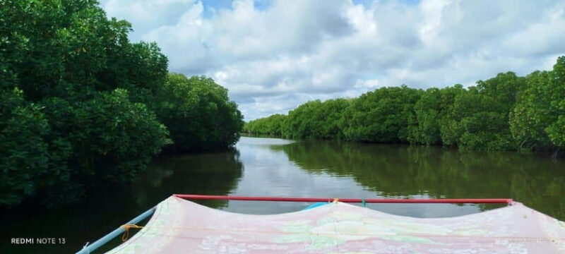 Nilaveli: Lagoon Boat Safari with Mangrove Exploration - The Itinerary in Detail
