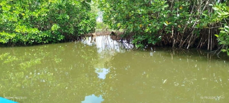 Nilaveli: Lagoon Boat Safari with Mangrove Exploration - What Travelers Say