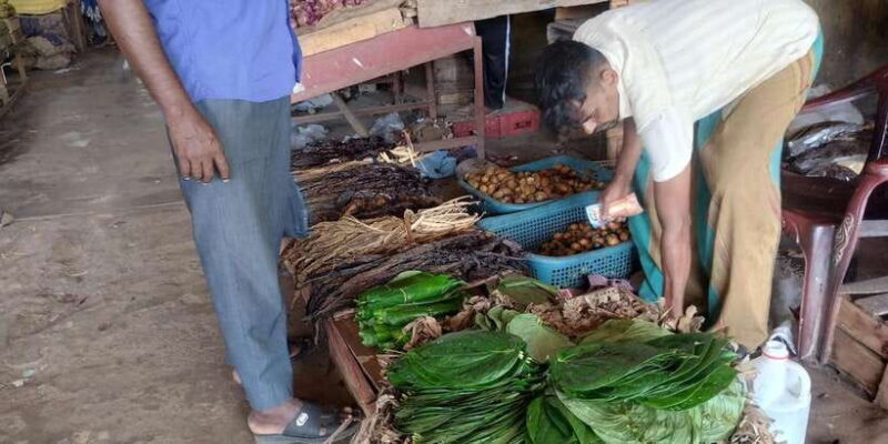 Nilaveli; Trinco City tour by Tuk Tuk - What Makes This Tour Special?