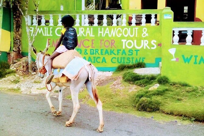 Nine Mile Ocho Rios Natural Attraction Tour - A Close Look at the Nine Mile Ocho Rios Natural Attraction Tour