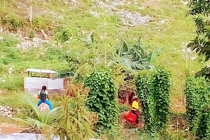 Nine Mile Ocho Rios Natural Attraction Tour - Who Will Love This Tour?