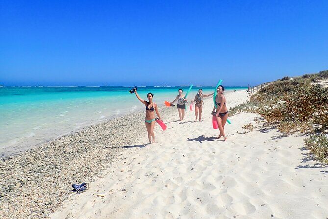 Ningaloo In A Full day Hike and Snorkel Tour - Key Points