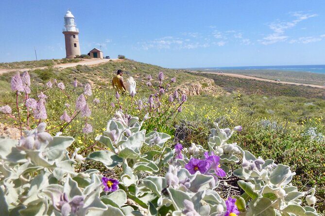 Ningaloo In A Full day Hike and Snorkel Tour - Transport, Timing, and Practicalities