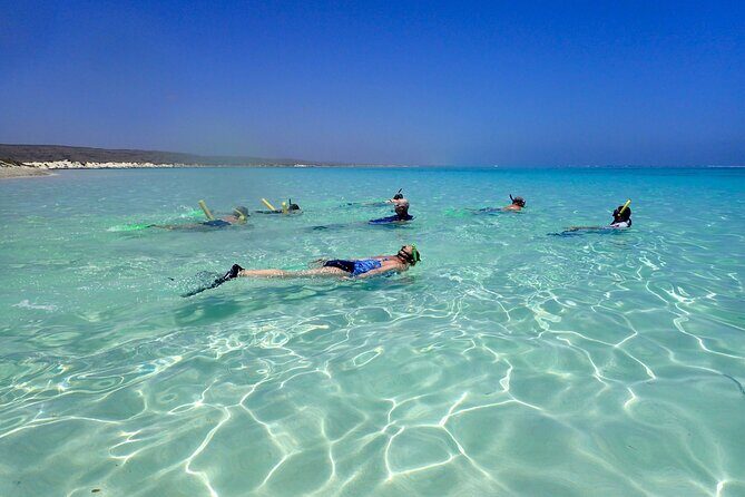 Ningaloo Reef Snorkel Adventure - An In-Depth Look at the Ningaloo Reef Snorkel Adventure