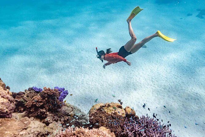 Ningaloo Reef Snorkel Adventure - Frequently Asked Questions