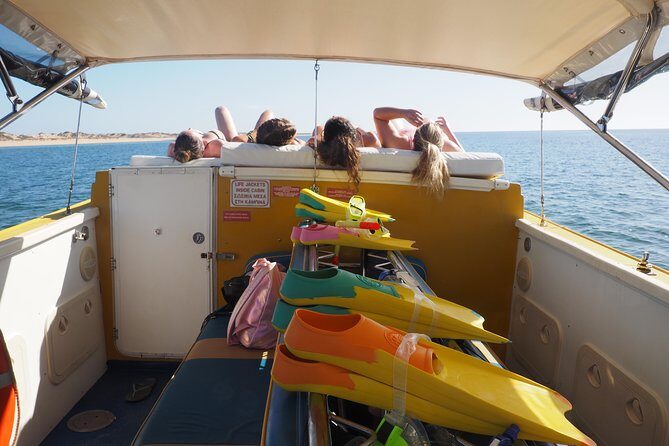 Ningaloo Reef Snorkel and Wildlife Adventure - Final Thoughts: Is This Tour for You?