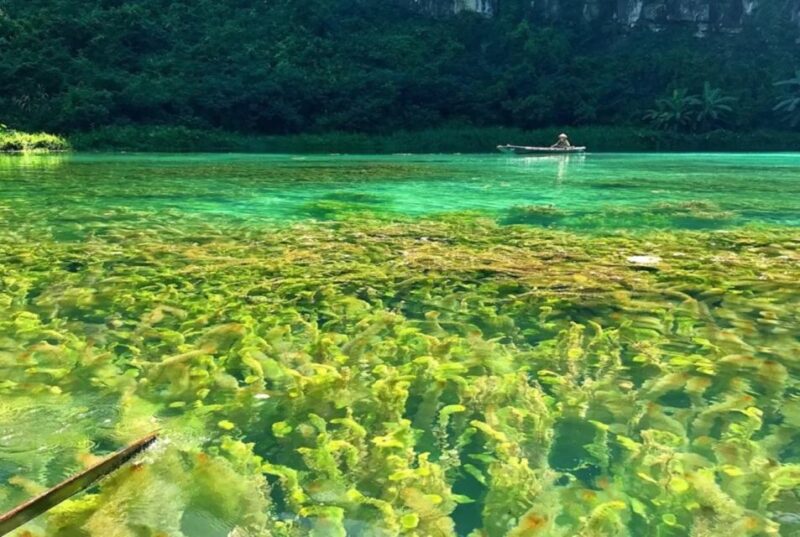 Ninh Binh 1-day tour Bai Dinh Trang An Mua Cave Small Group - Bai Dinh Pagoda: Spiritual Grandeur and Art