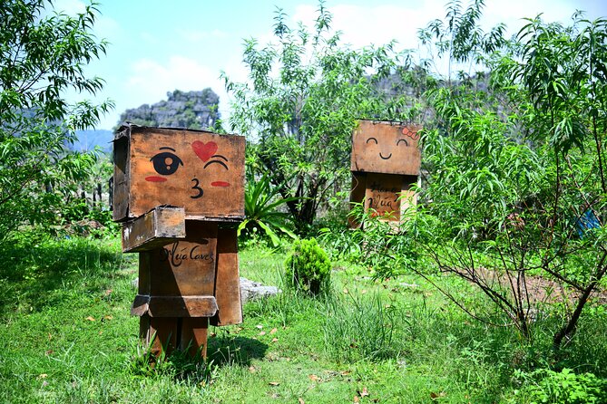 Ninh Binh 2 days 1 night Tour from Hanoi (Small Group of 9) - The Practical Side: What’s Included and What’s Not