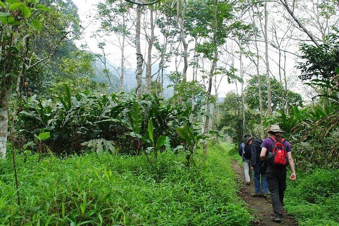Ninh Binh 2Days/1Night With Boat Trip & Cuc Phuong National Park - Final Thoughts