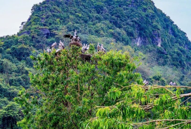 Ninh Binh: Ancient Capital & Pagoda 2-Day Tour - FAQ