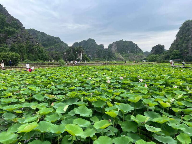 Ninh Binh and Cuc Phuong National Park 2-Day Private Tour - Who Is This Tour Best For?