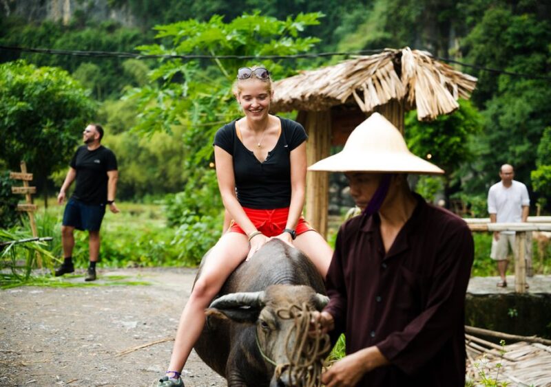 Ninh Binh: Buffalo riding, rice planting group tour - What’s Included and What’s Not