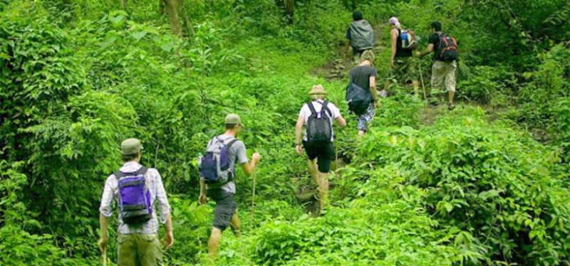 Ninh Binh: Cuc Phuong National Park 1 Day Small Group - An Authentic Day in Vietnam’s First National Park